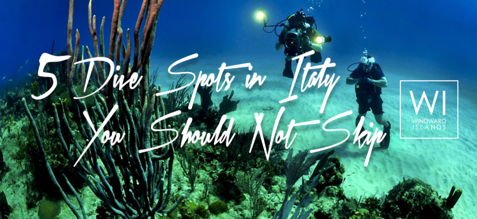5 Best Scuba Diving Places you should not miss while sailing in Italy | WIT